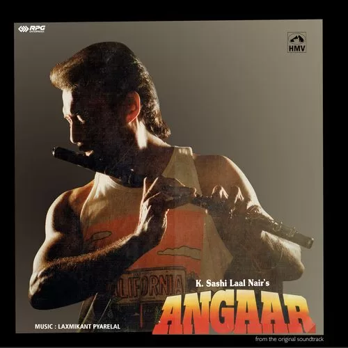 Angaar – PSLP 4053 - Cover Reprinted – LP Record - New Gramophone House